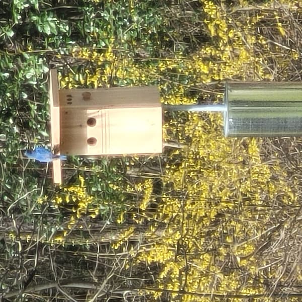 Noel Guard- Jig to Make Your Own (9" X 13" X 0.5") - Etsy