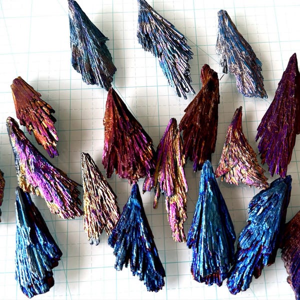 3"-4" Dinosaur Poop Petrified Coprolite Natural Fossil Rock Stone ...