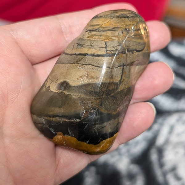 COPAL AMBER 3 Raw Rocks and Minerals Solar Plexus Chakra Healing ...