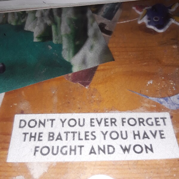 Don’t You Ever Forget the Battles You Have Fought and Won, West Wing ...