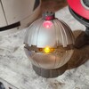 Coaxium - Etsy