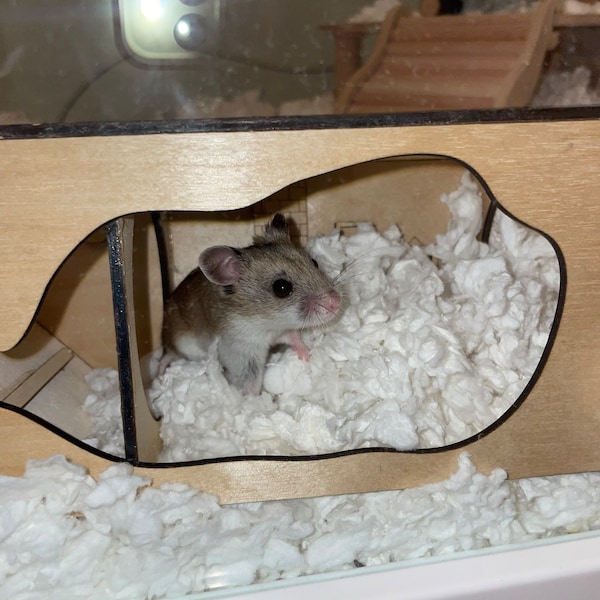 Hamster Tunnel/ Hamster Cave Hideout/ Chamber Rooms/ Hamster Digging ...