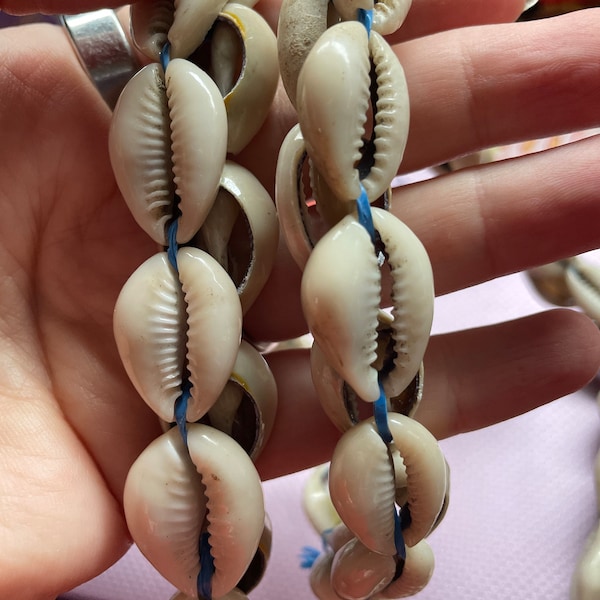 80 Kenyan Cowrie Shells African Shell Beads Cowry Shells African Beads ...