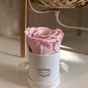 One Year Roses Evil Eye Evil Eye Charm Forever Roses Rose - Etsy Canada