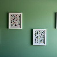 Canadian Wildlife Alphabet Chart - Etsy Canada