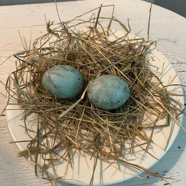 Painted, Decoupaged, Vintage Rabbit Easter Eggs, Rustic Eggs, Spring ...