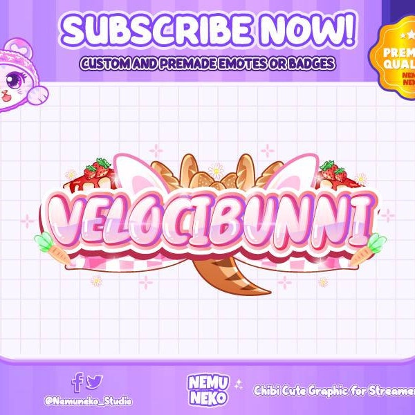 Custom Animated Facecam Overlay / Webcam Overlay in Cute Style or ...