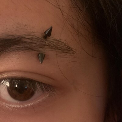 PAIR Alien Iridescent Stainless Steel Screw Fit Plugs Space Martian ...