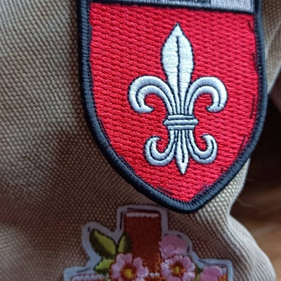 Ecusson patche médiéval lion des Flandres noir et rouge grande taille ...