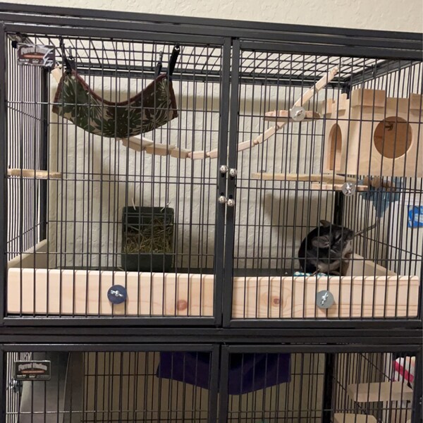 Original Full Sets of Cage Guards / Cage Poop Guards - SAFEST & MOST ...