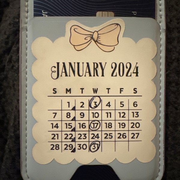 2025 Journal Mini Sticker Calendar, 2025 Sticker Calendar, 2025 ...