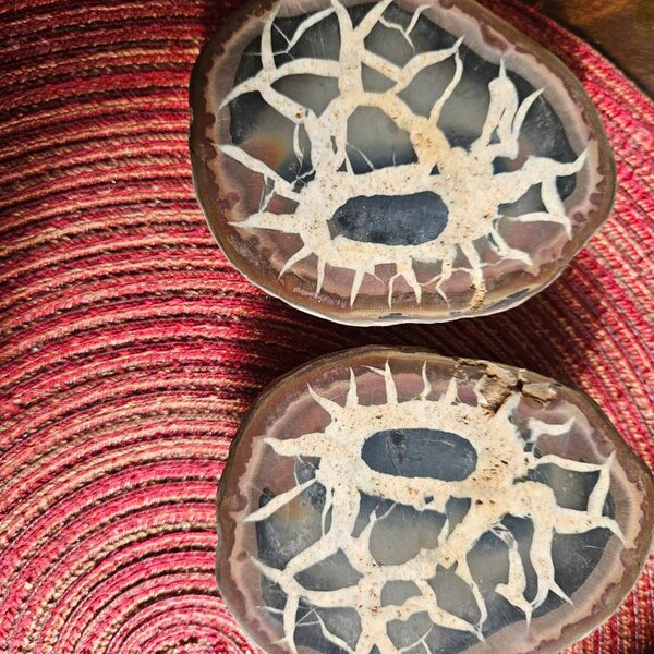 Large Cut & POLISHED 2 SEPTARIAN Nodules Morocco 0.5 - 1 Lb (matching ...
