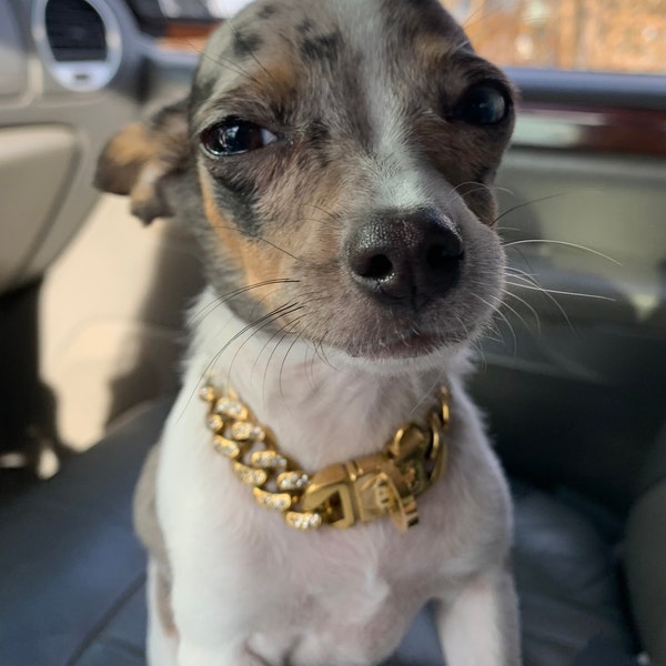 15mm Wide Diamond Cuban Link Gold Dog Chain Collar for French Bulldog ...