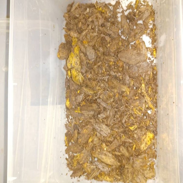 Shredded Rotten Wood (flake Soil) Beetle, Millipede, Isopod Substrate ...