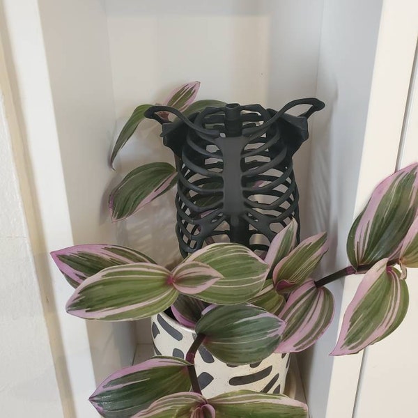 Houseplant Trellis|skeleton|rib Cage|plant Art|indoor Garden Decor|for ...