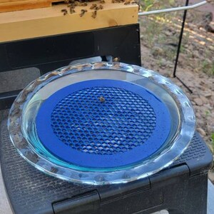 Monarch Butterfly Raising Kit Butterfly Raising Kit, Milkweed Floral ...