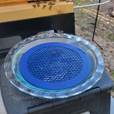 Monarch Butterfly Raising Kit Butterfly Raising Kit, Milkweed Floral ...