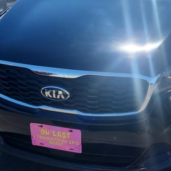 Blue Plaid Gingham Car License Plate Frame, Gen Z Gift, Cute Car ...