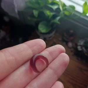 Carved From Buffalo Horn SWANS Priced per Pair - Etsy