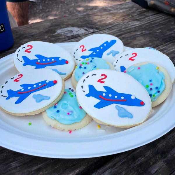 Airplane Cookies (4" Size, Bowed) - Next Ship Date is 5/29 or for Pre ...