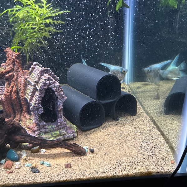 Alaskan Bull Worm Aquarium Decor - Etsy
