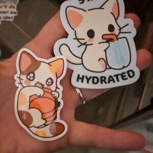 Kawaii Cat Workout Planner Stickers Workout Reminders Cute - Etsy