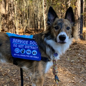 1 Patch IGNORE ME 8 Inches X 3 Inches Sew On Customizable | Etsy