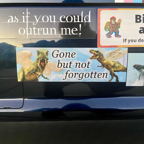 Funny T-rex Memorial Bumper Sticker - RIP Dinosaur Car Decal - Etsy