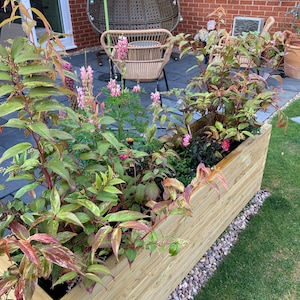 Log Store Log Holder Wall Mounted Log Store Furniture Log - Etsy UK