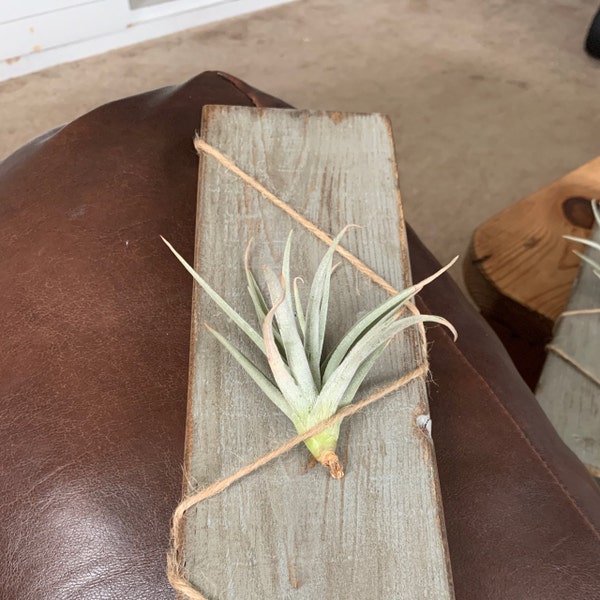 Yarn/twine Trees, Rope Trees, Rustic Trees, Rustic Christmas Trees ...