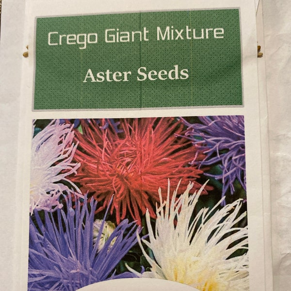 Italian Squash Zucchini Seeds | NON-GMO | Heirloom | Fresh Garden Seeds ...