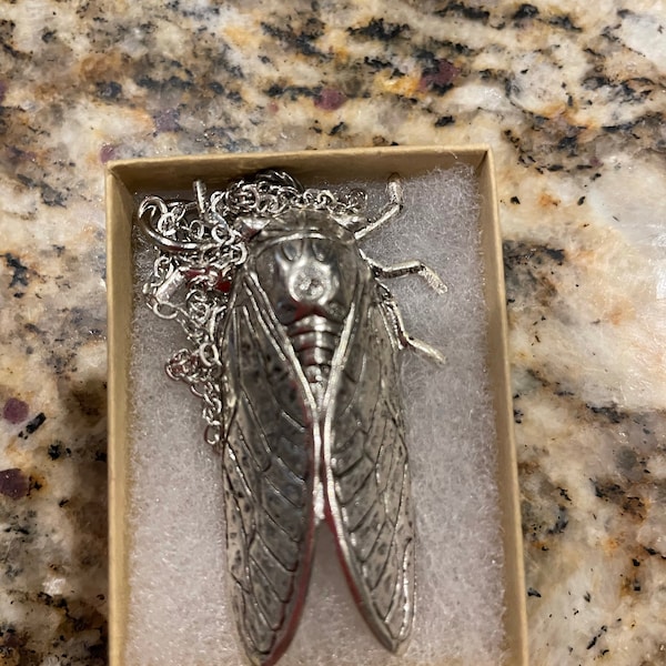 Silver Cicada Locket Necklace: Hidden Compartment Bug Pendant - Etsy
