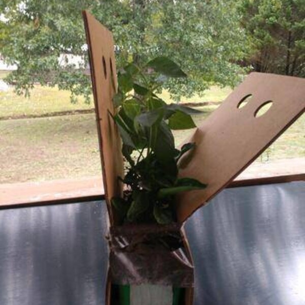 Kids Maple Tree Tapping Kit - Taps & Tubes Method - Fun and Educational ...