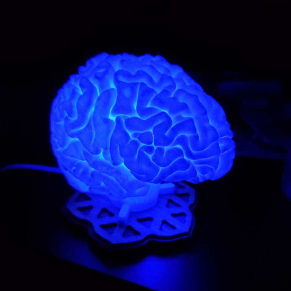 Human Brain - 3D Printed Accent Lamp, Wall Hanging or Table Top Novelty ...