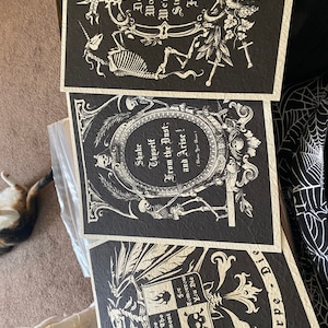 Crow on A Skull Gothic Macabre Art Print Medieval Memento Mori | Etsy