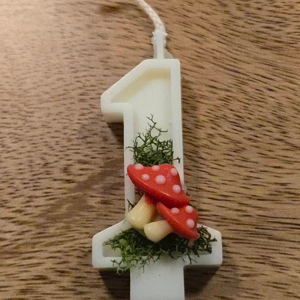 Pet Birthday Candle | Alphabet Birthday Candle | Soy Wax Birthday ...