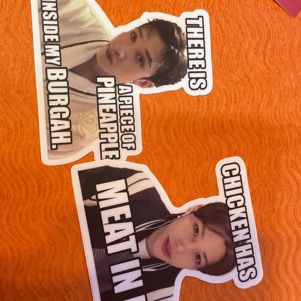 Stray Kids Lee Know Meme Stickers - Etsy