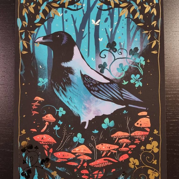 Occult Ornithology Tarot Deck and Guide Majors Only Deck Celebrating ...