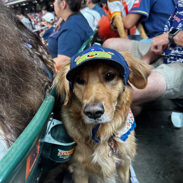 World Series Champions Trophy Patch | Houston Astros | Baseball ...