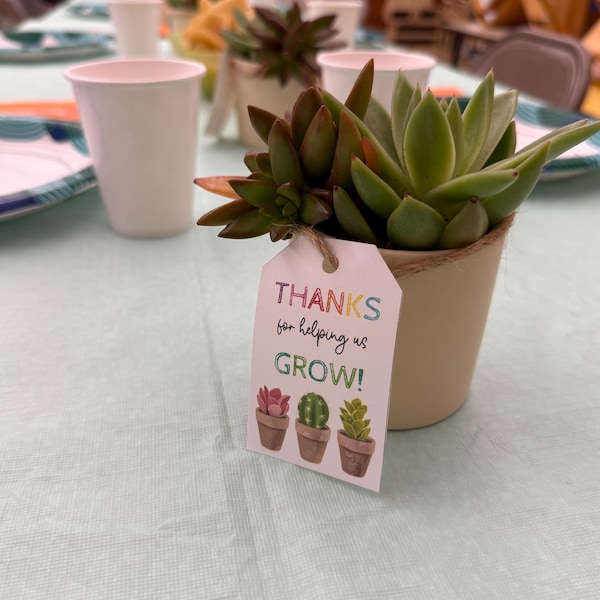 Goodbye Lesson Plans Hello Sun Tan Tag, Printable End of School Year ...