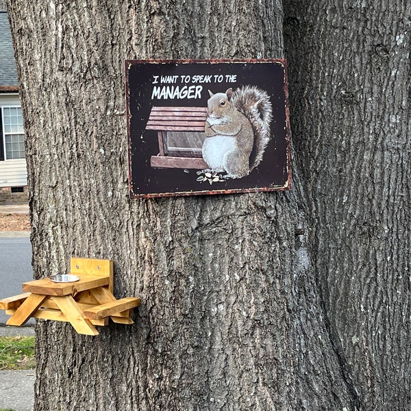 Squirrel Picnic Table, Squirrel Feeder, Picnic Table for Squirrel ...