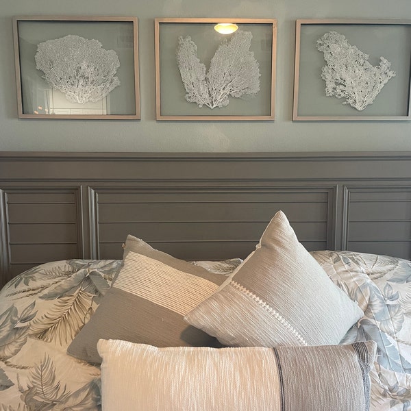 1 Framed Sea Fan Art - Custom Color - Etsy