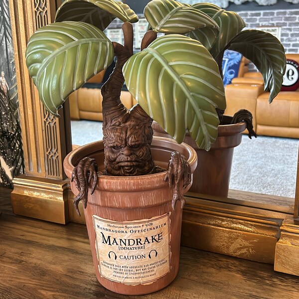 Realistic Mandrake Label, Printable Sticker Prop Potter Herbology - Etsy