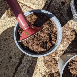 Plantable SEED PAPER Eco-friendly Sustainable Biodegradable - Etsy