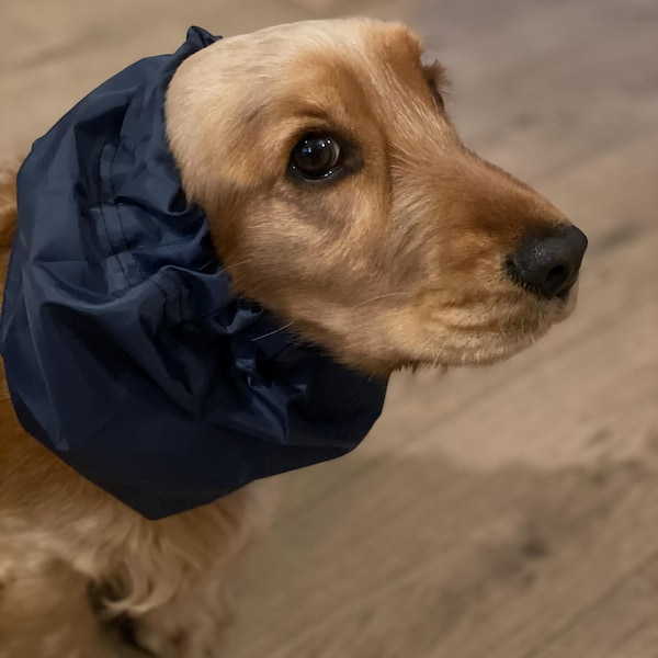 Waterproof Coat made to Measure for Cocker Spaniels, Redgranate - Etsy