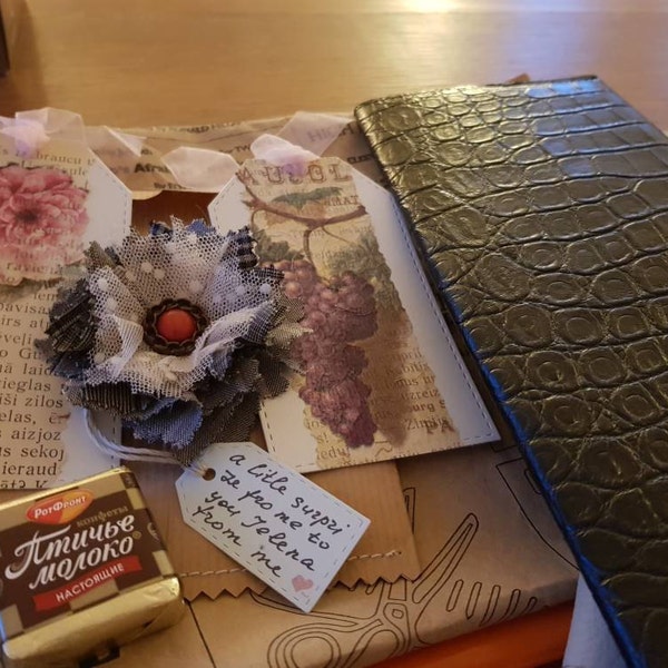 JW Ministry Organizer for Tracts, Simple and Transparent Plastic Tract ...