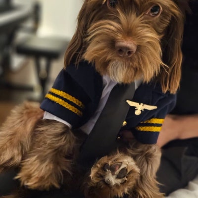 Custom Made Dog Cat Pet Pilot Captain Aviator Uniform Blazer Coat and ...