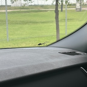 Mermaids Octopus Vinyl Decal for 4x4 & Car Windshields. - Etsy