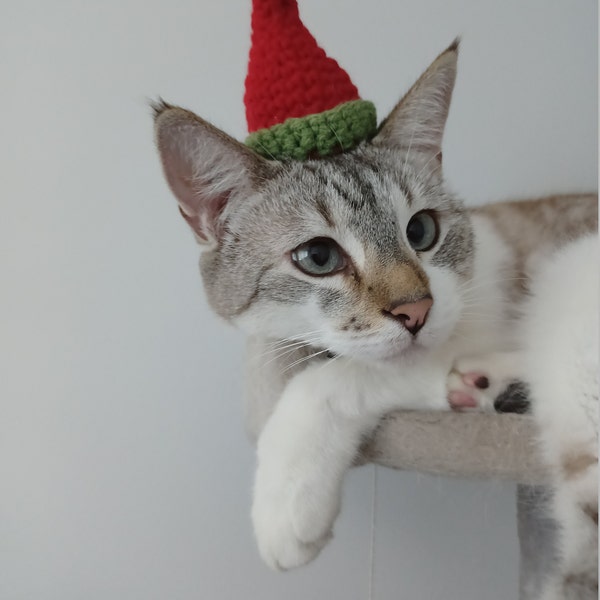 Crochet Elf Hat for Small Pets: Handmade Guinea Pig, Hamster, Cat ...