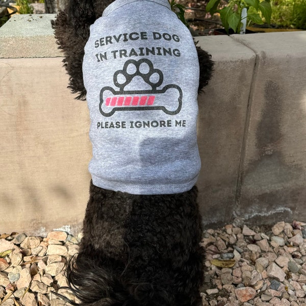 The Boss Dog Shirt, Matching Dog and Owner Outfit, Dog Shirt, Fur Baby ...